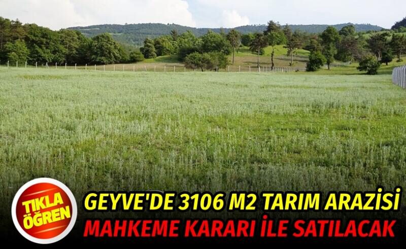 Geyve’de 3106 m² tarım arazisi mahkeme kararı ile satılacak – Geyve Medya