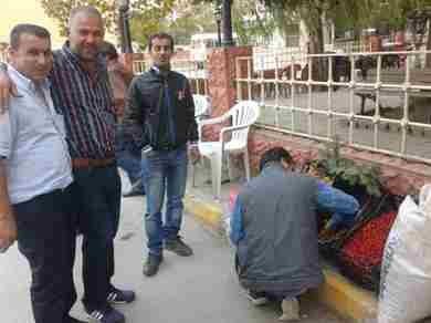 Kanlıca mantarı Sezona Merhaba Dedi… – Geyve Medya