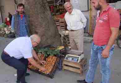 Kanlıca mantarı Sezona Merhaba Dedi… – Geyve Medya